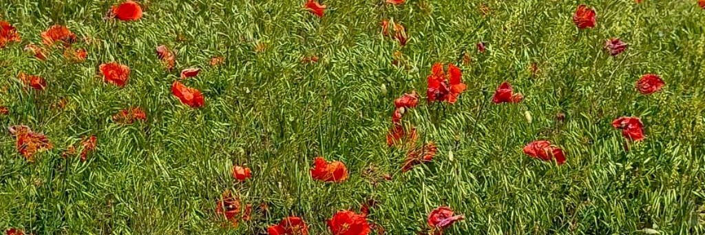 Рюкзак за плечами