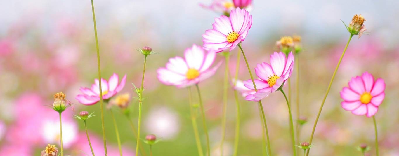 ПРОСТО ИНТЕРЕСНО!