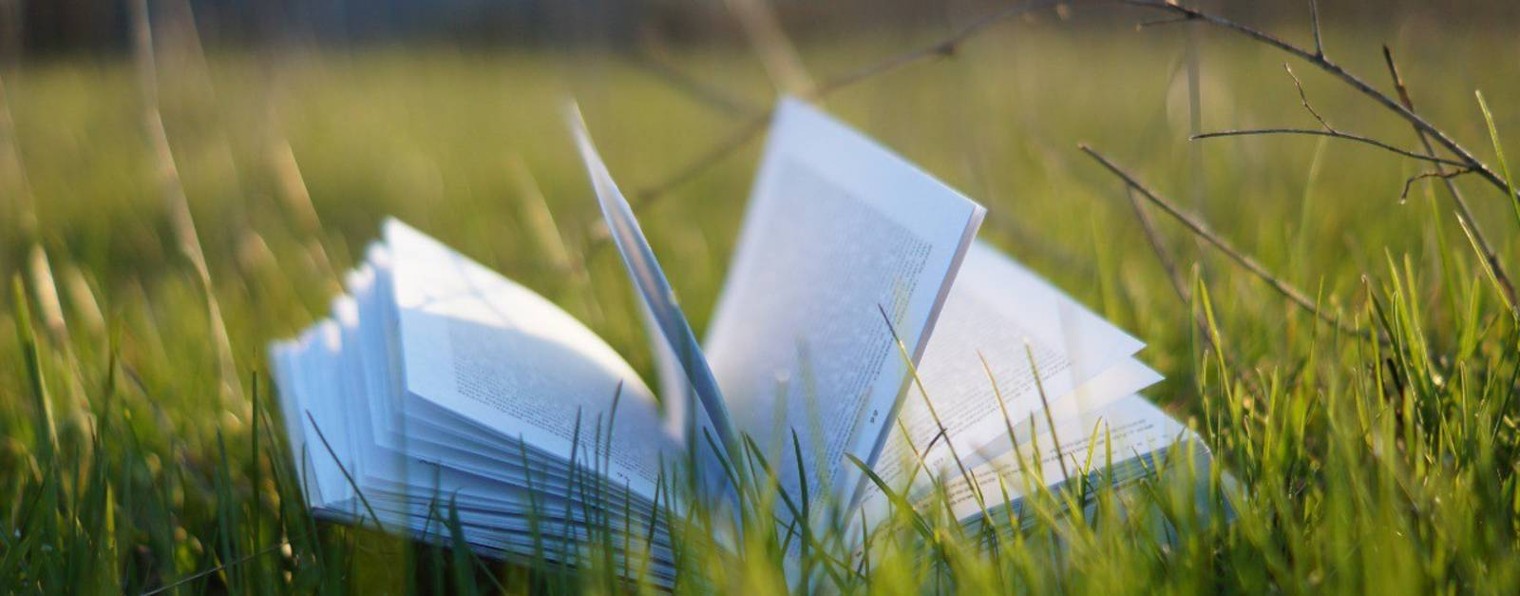 Ксюшкины заметки