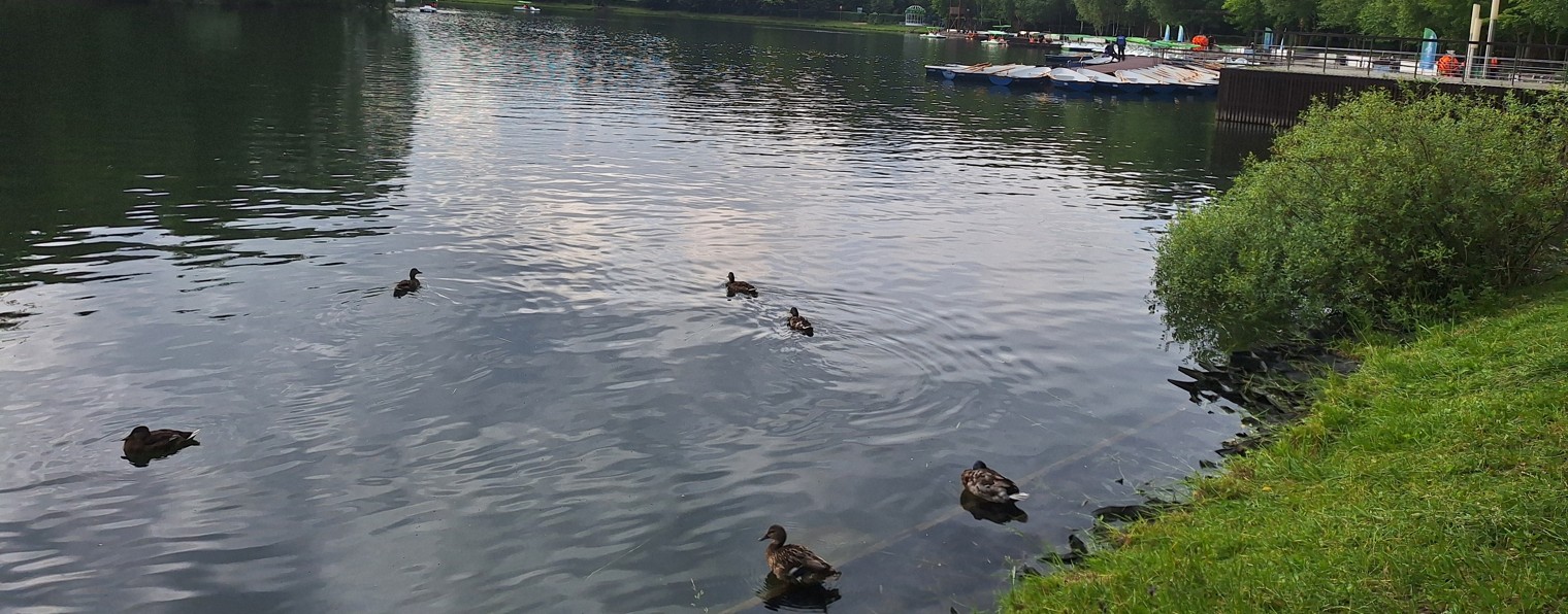 СМОТРЕТЬ ФИЛЬМЫ ОНЛАЙН