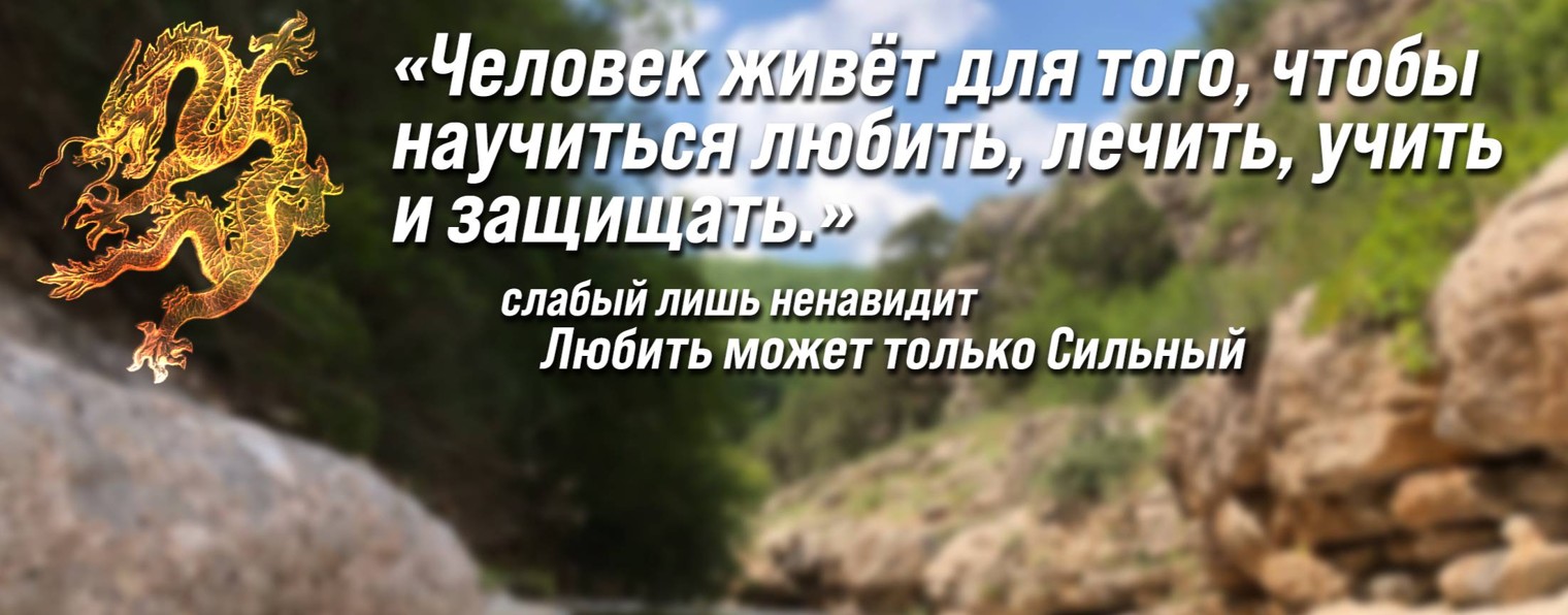 Записи эфиров Тамира Шейха о Шавкате