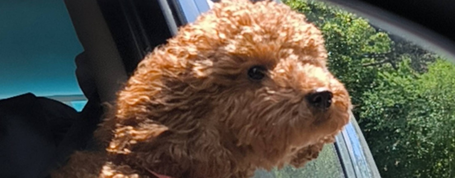 Приключения Тедди. Интересные места.