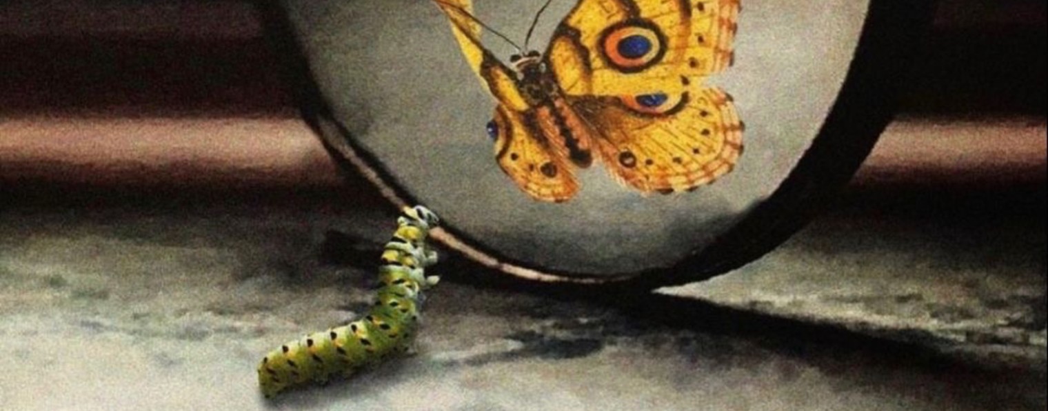 Похудение и Уход: Вторая Жизнь Кожи