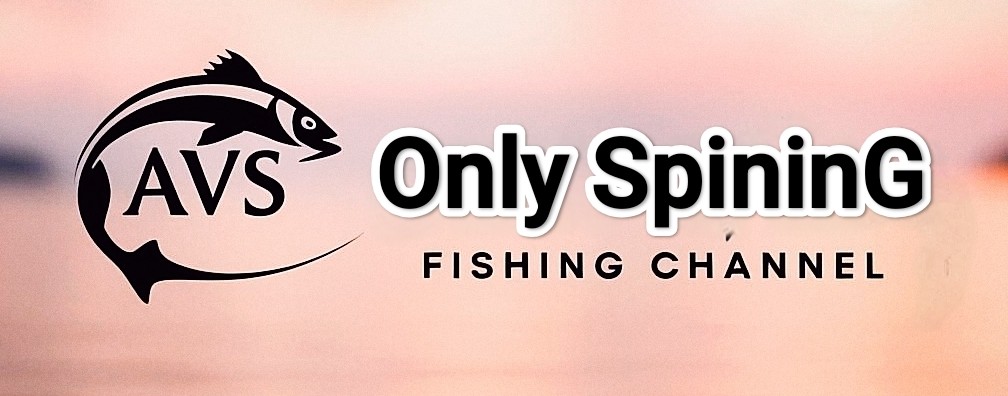 AVS_Only_SpininG