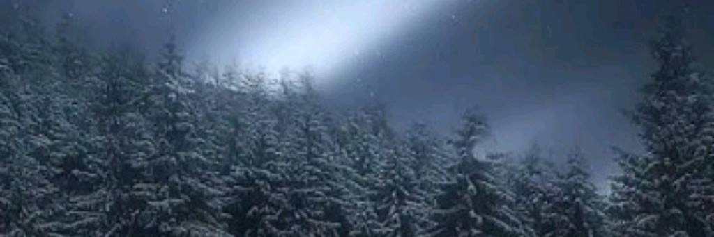 Лунтик Абражов