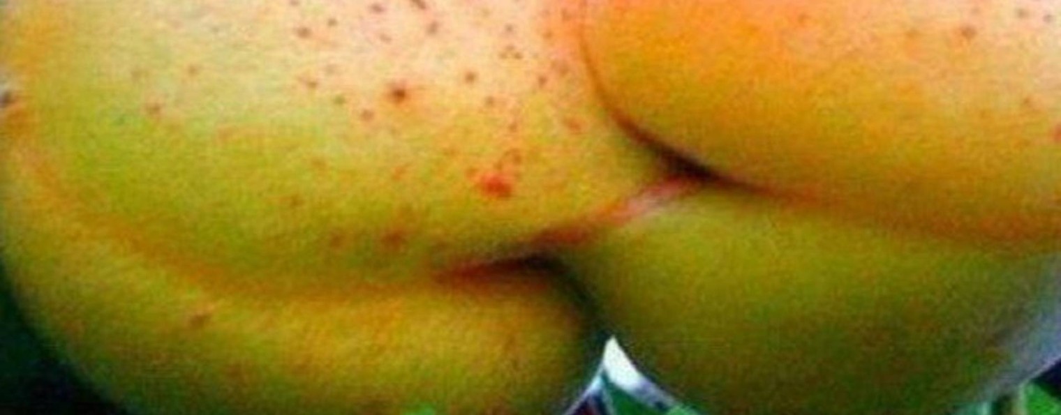 Гнилые СЛИВЫ