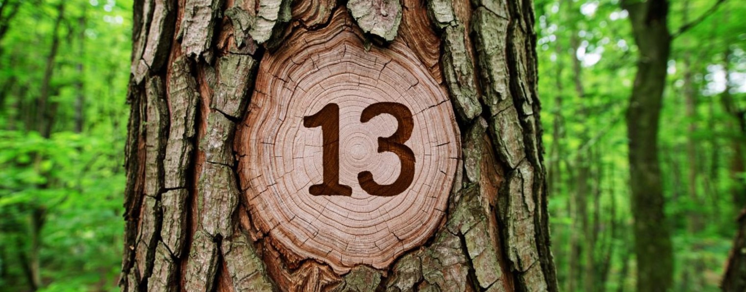 Продюсерский центр "Тринадцать"