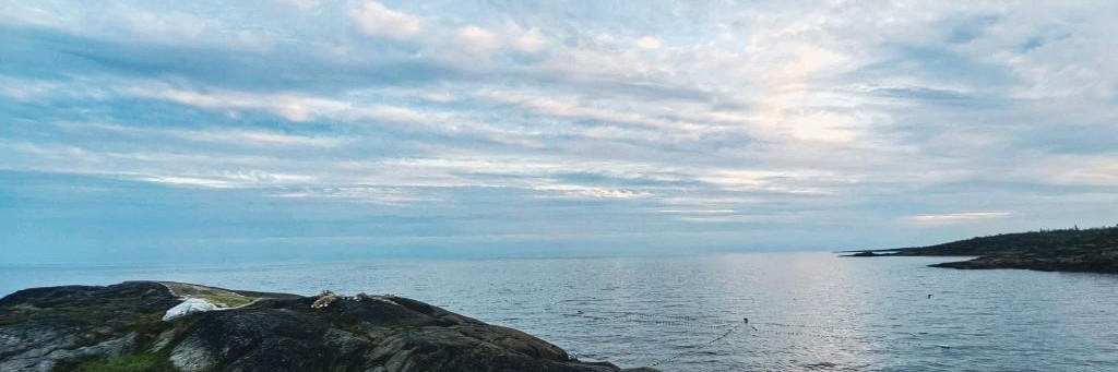 Александр Валеев