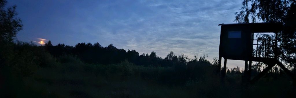 Тверской Колян