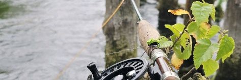 нахлыст в Калининграде.