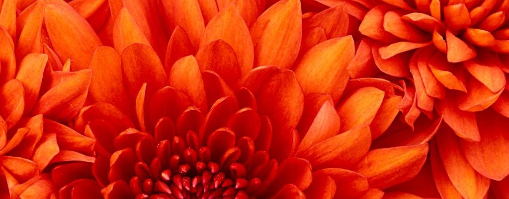 Моя шкатулка