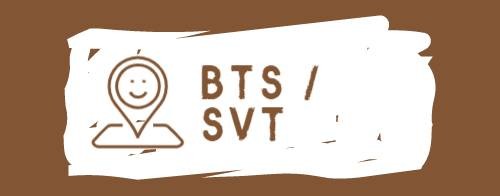 BTS / SVT HYBE