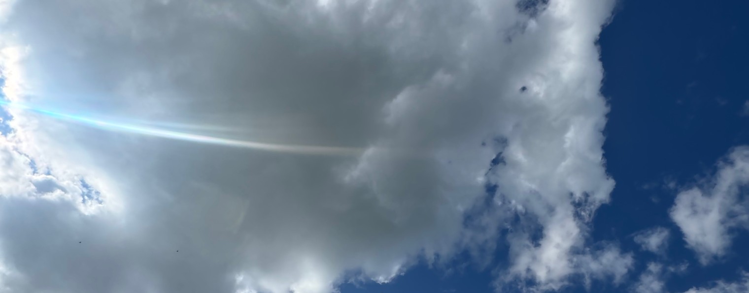 Обед с подругой