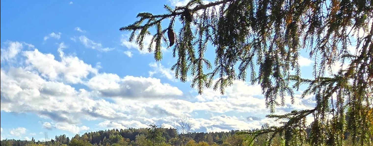 По дороге с облаками