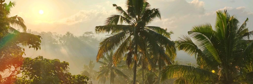 Григорьев PRO