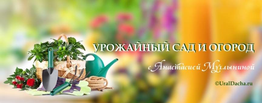 Урожайный сад и огород