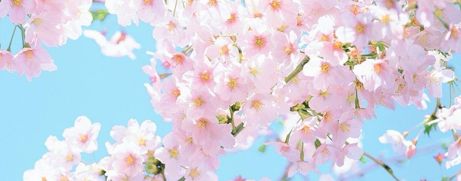 ГАРЯЕВ–ВСЕ МАТРИЦЫ ГАРЯЕВА СКАЧАТЬ WaveGenetics.RU