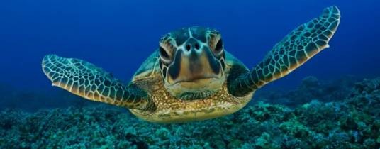 СЕРИАЛЫ В РОБЛОКСЕ | ЛУЧШИЕ ДОРАМЫ СО ВСЕГО ИНЕТА