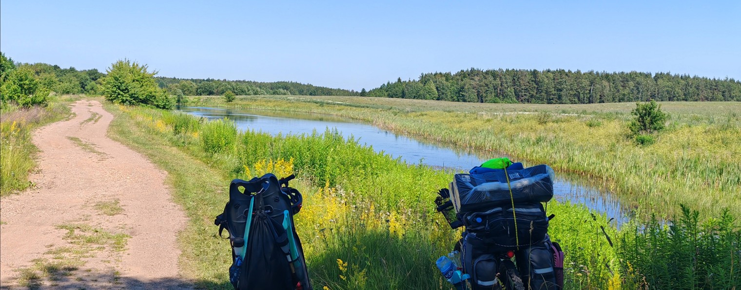 Вороны в дороге