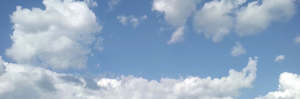 Животные и природа-матушка