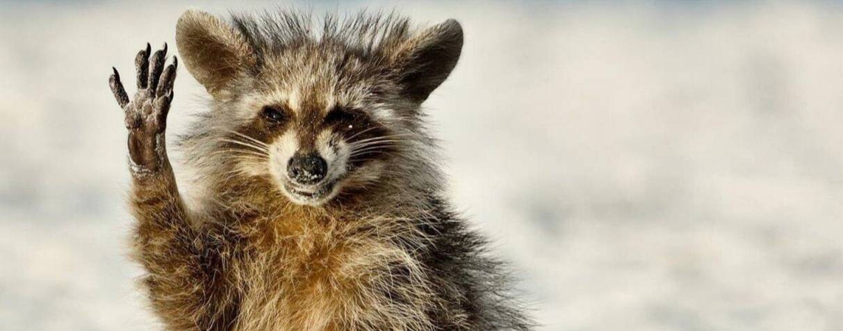 животные с придурью)(