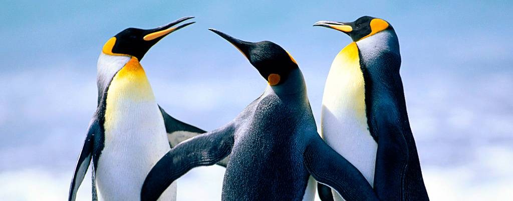 Юмор , Сериалы, Здоровье