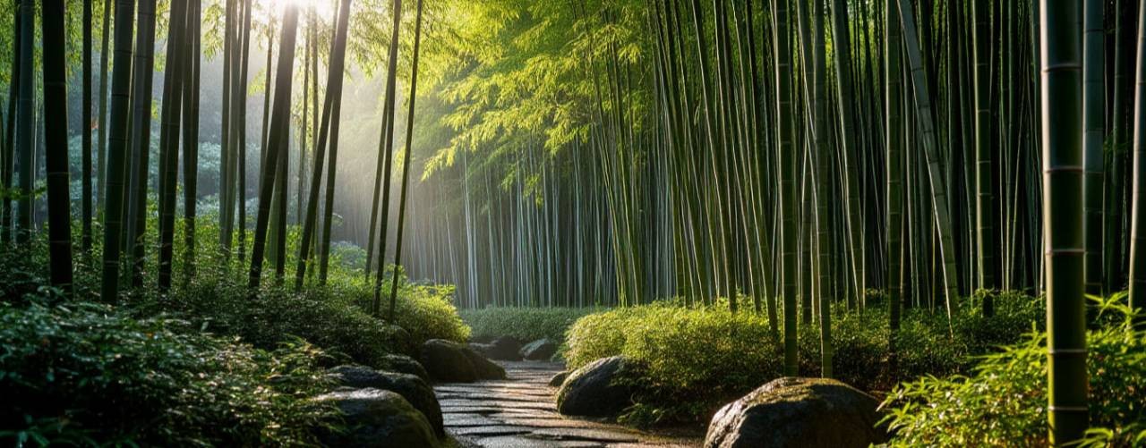 Бамбуковый сад | Chinese & Asian Culture