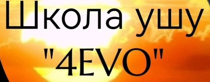 4EVO/Михаил Березин