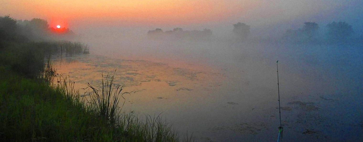 ВСЁ, ЧТО ВИЖУ, ТО И ПОЮ!