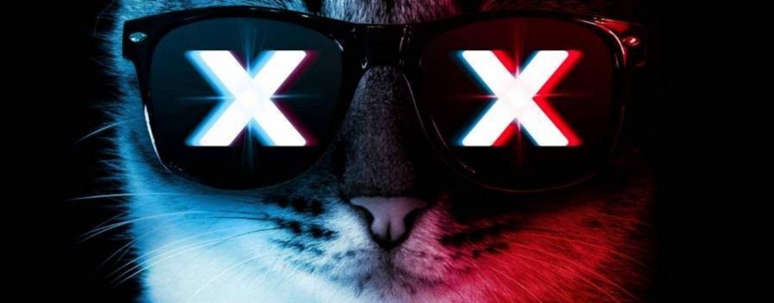 Друзья Камы