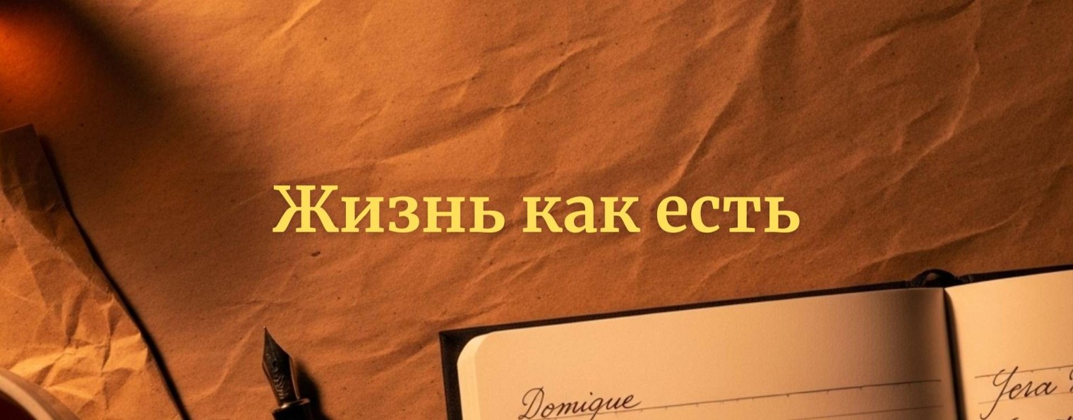 Истории и рассказы | Жизнь как есть
