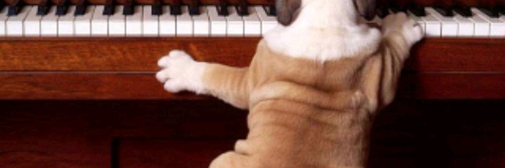 Сусанна К. Играю на синтезаторе.