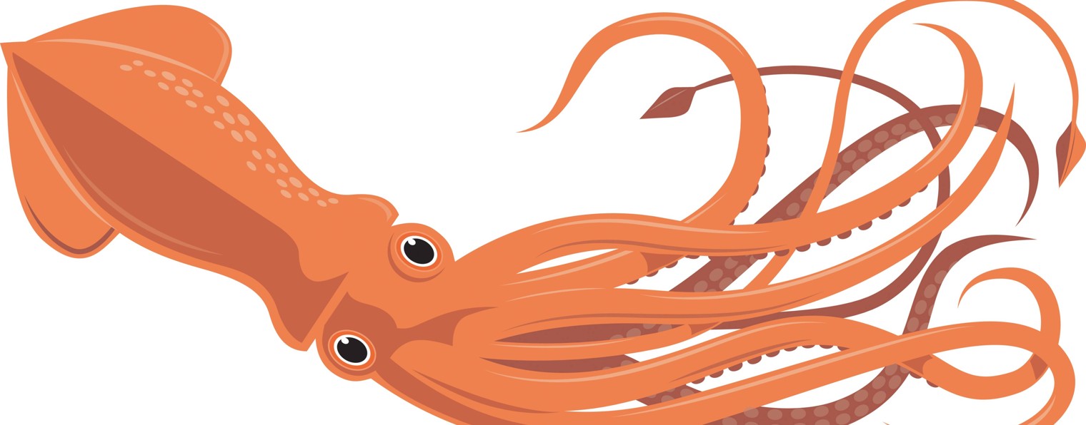 Сериалы и фильмы от доброго кальмара