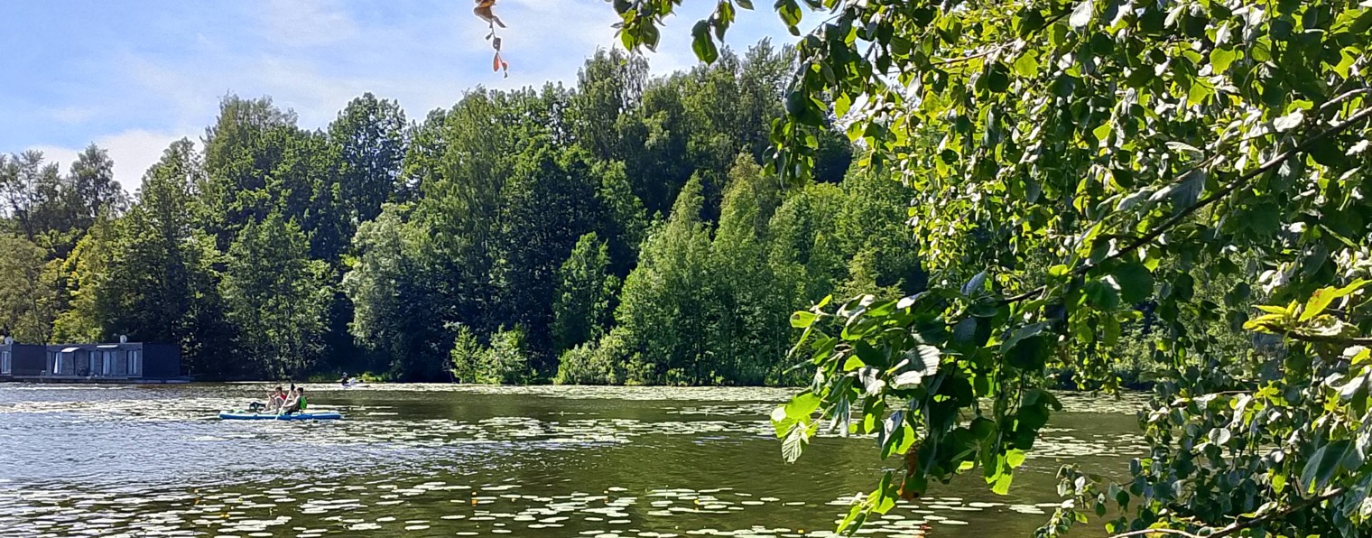 О Блогерах говорю