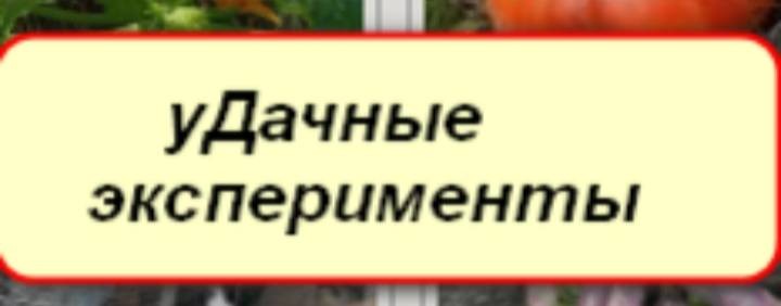 уДачные эксперименты