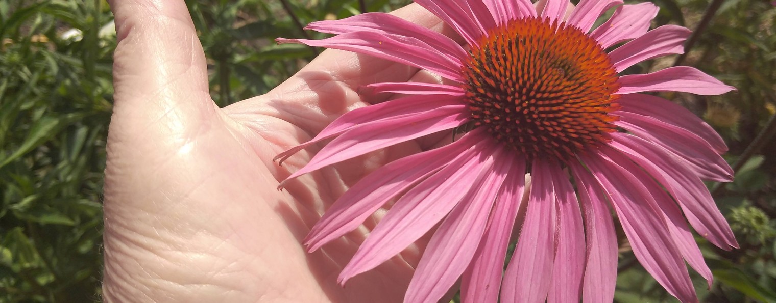 Миллионовна