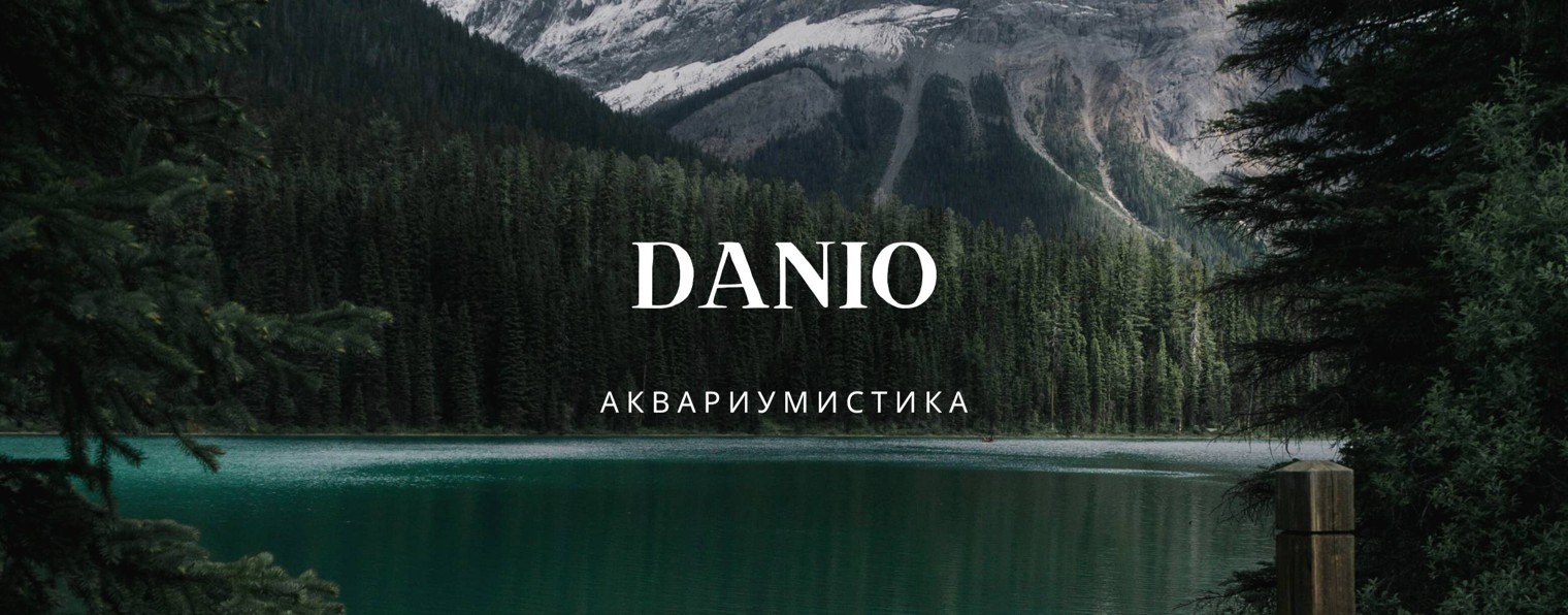 Danio