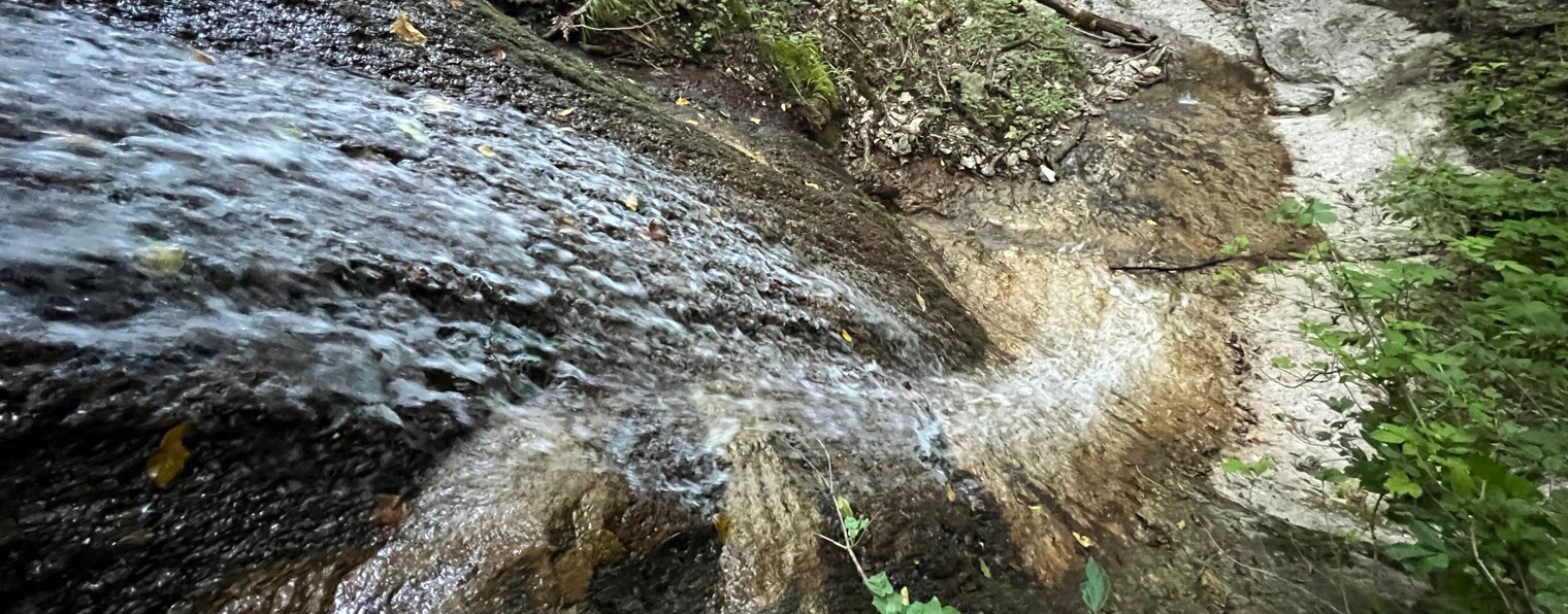 Misha MiF | Культура, искусство, путешествия 🫴✨🌟