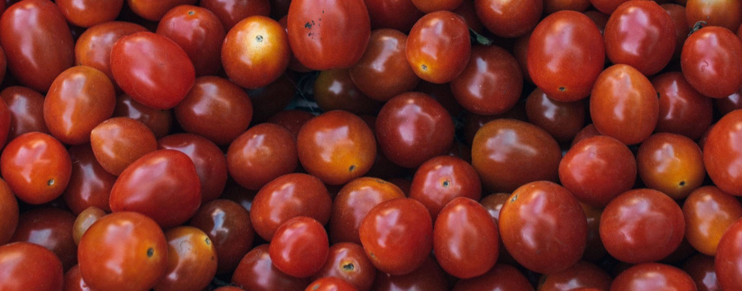TomatniyChelovek