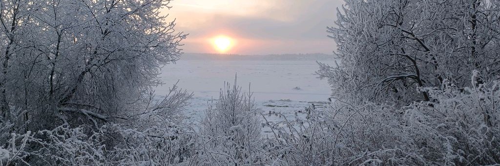 Сергей Головин