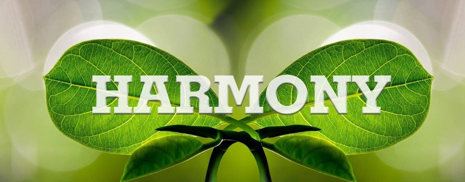 Harmony