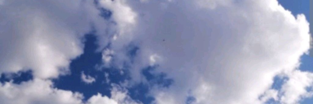 😽Просто Мазик 😽(🌑❌) (❌💜🐈)