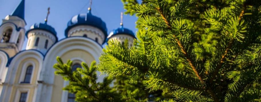 Арсеньевская епархия Русской Православной церкви