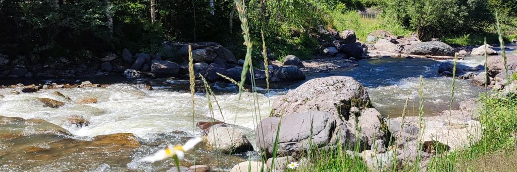 Путь К Центру