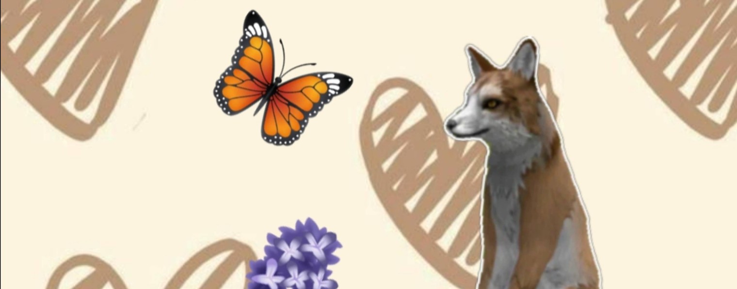 Лисья   мята .🦊🌿🐾