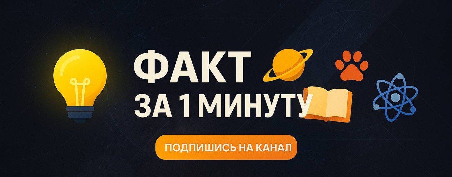 Факт за 1 минуту