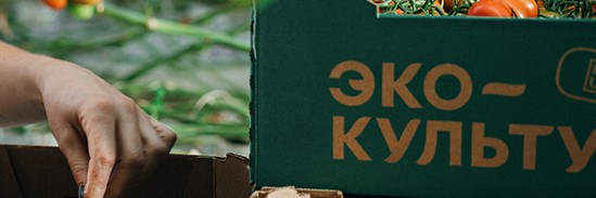 ЭКО-культура