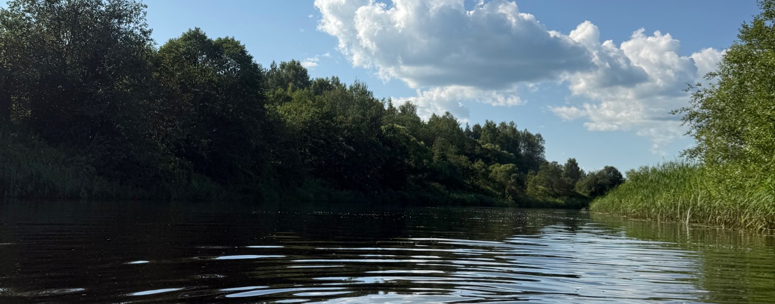 Многодетки travel