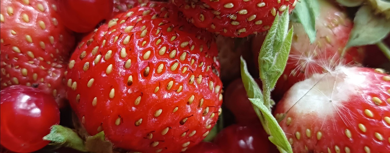 Жизнь прекрасна!