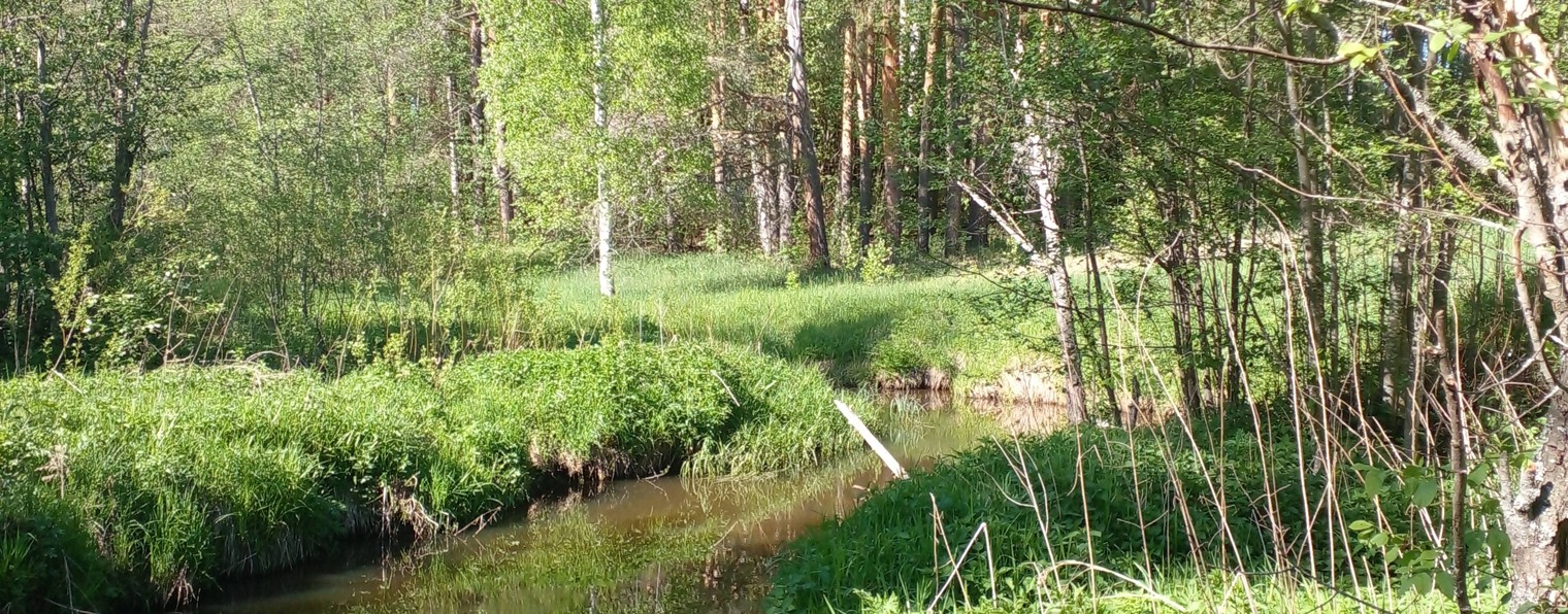 Как правильно...